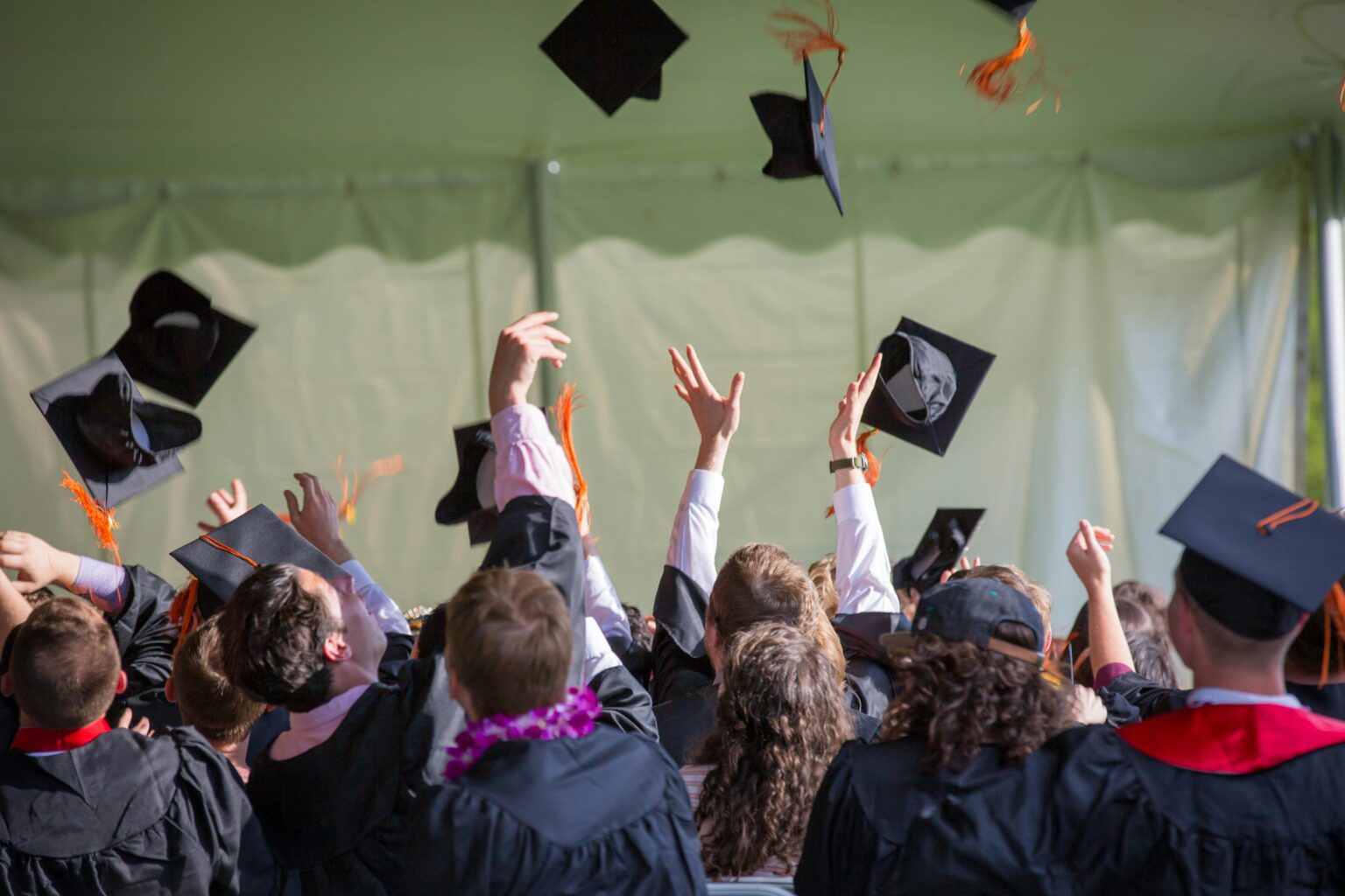 Entertainment Management Degree: Career Paths & Opportunities